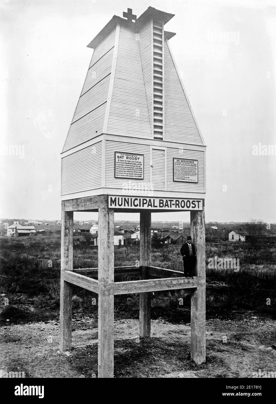 Bat Roost, San Antonio, Texas - Photograph shows a bat roost in San ...