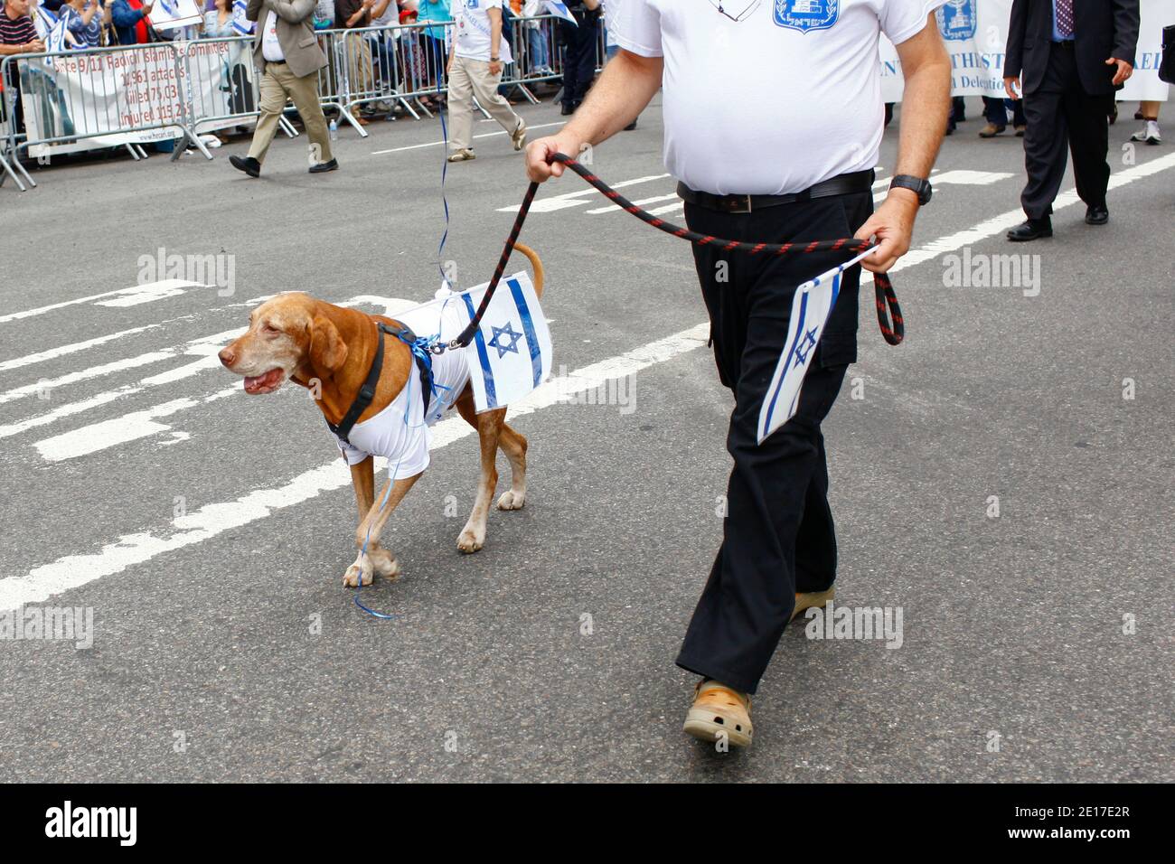 A dog with an Israeli flag marches down Fifth Avenue. The Celebrate ...