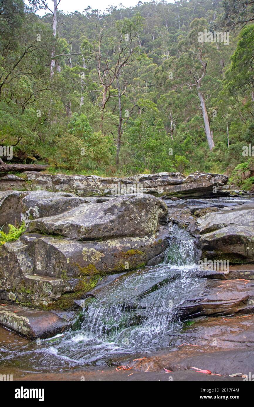 Cumberland river hi-res stock photography and images - Alamy