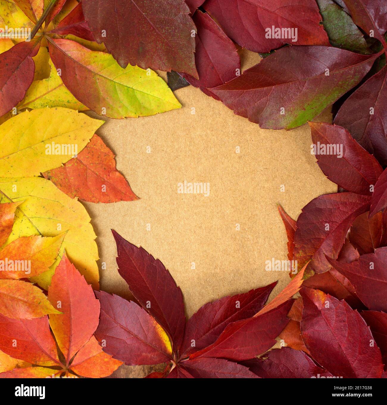 Abstract autumn fall frame with colorful leaves on vintage brown paper ...