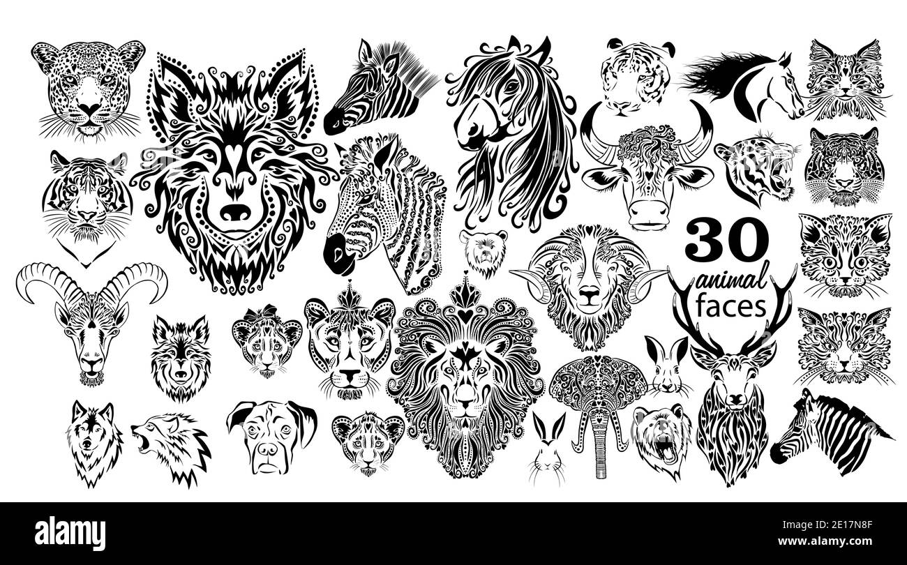 Animal face vector icon set Stock Vector Image & Art - Alamy