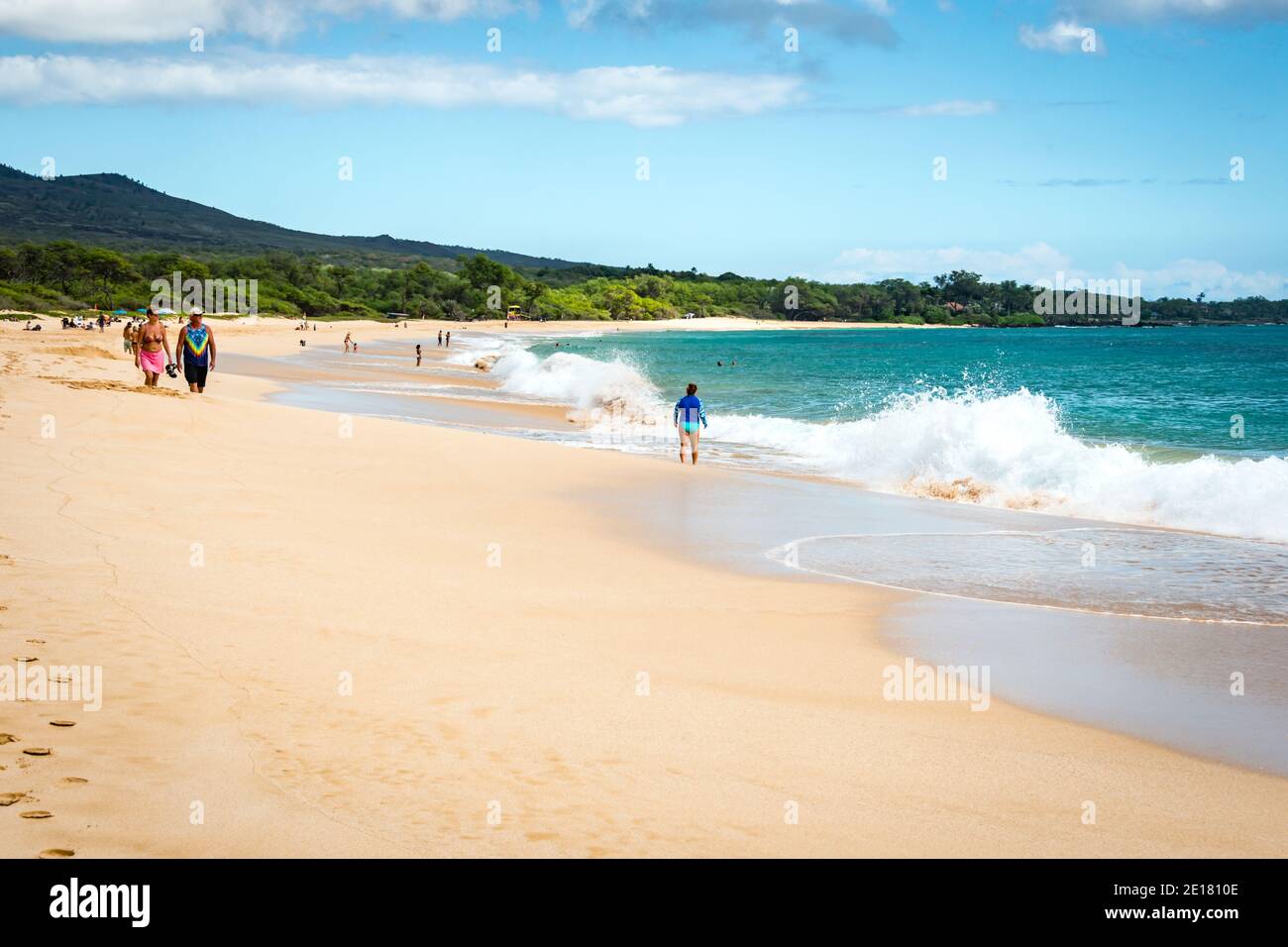 State fish of hawaii hi-res stock photography and images - Alamy