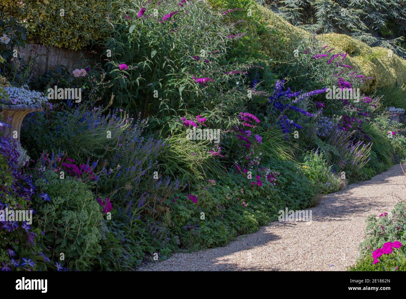 Herbaceous borders with permanent plants seen on either side of a ...