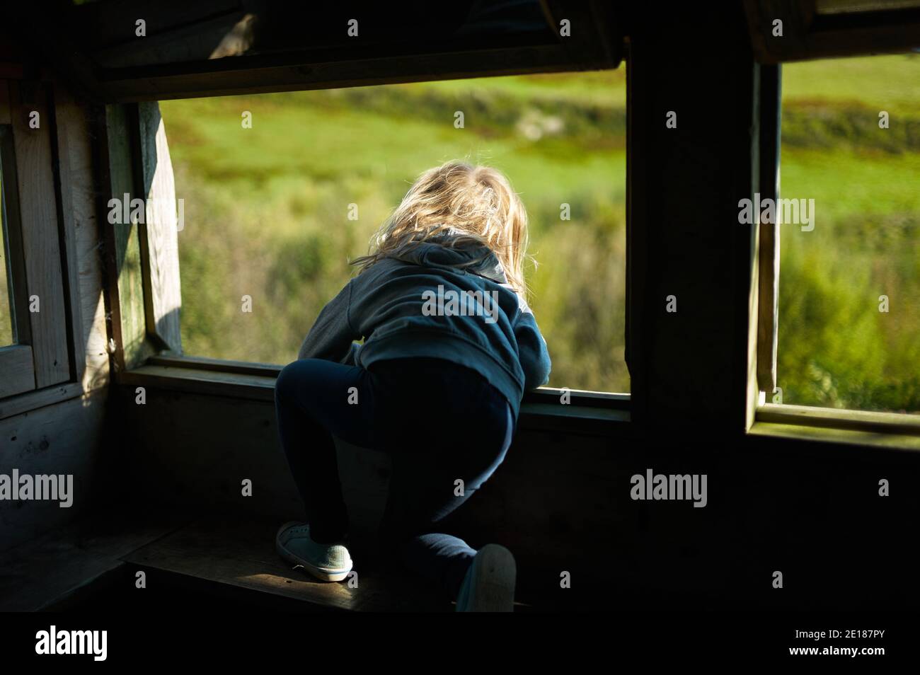 A little preschooler is looking out from inside a bird hide Stock Photo ...