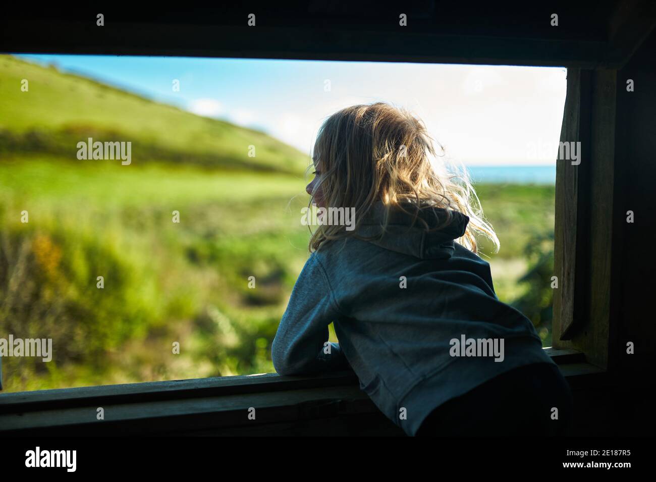 A little preschooler is looking out from inside a bird hide Stock Photo ...