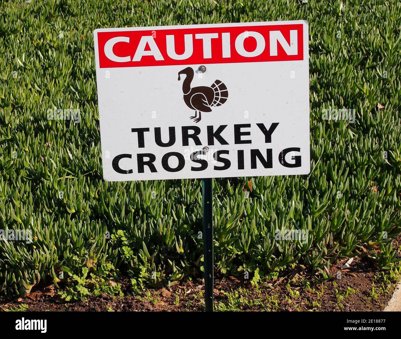 Animal crossing sign hi-res stock photography and images - Alamy