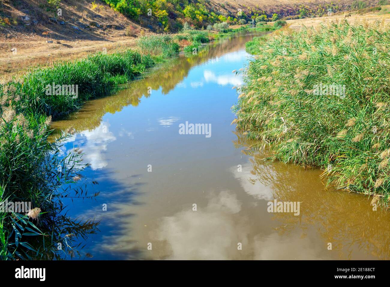 River nature water . Riverside summer landscape Stock Photo - Alamy