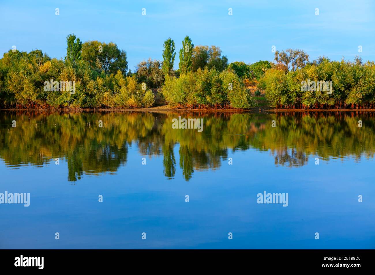 Nature reflection in the lake water Stock Photo - Alamy