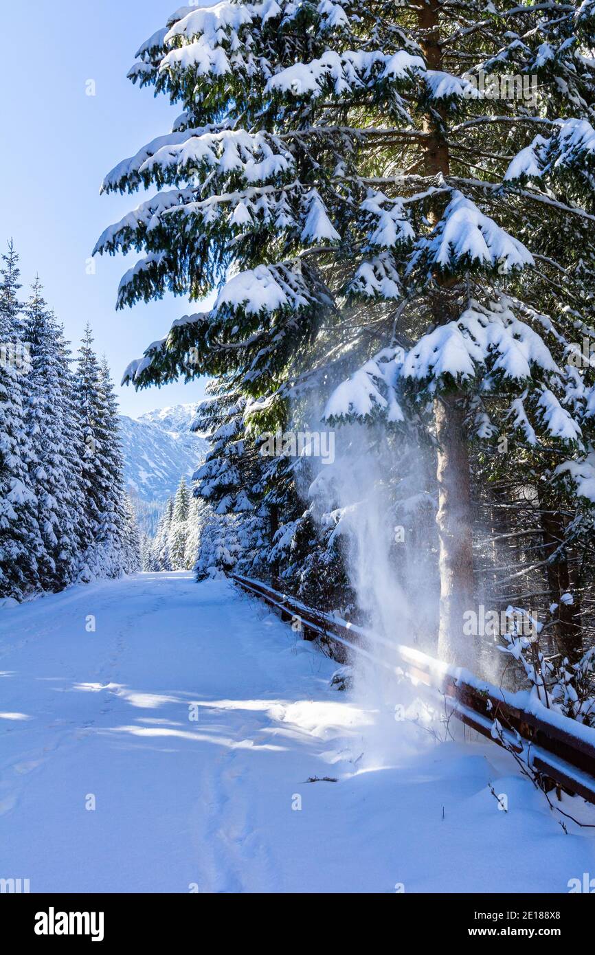 Nature cold day ice park snow sunny winter hi-res stock photography and ...