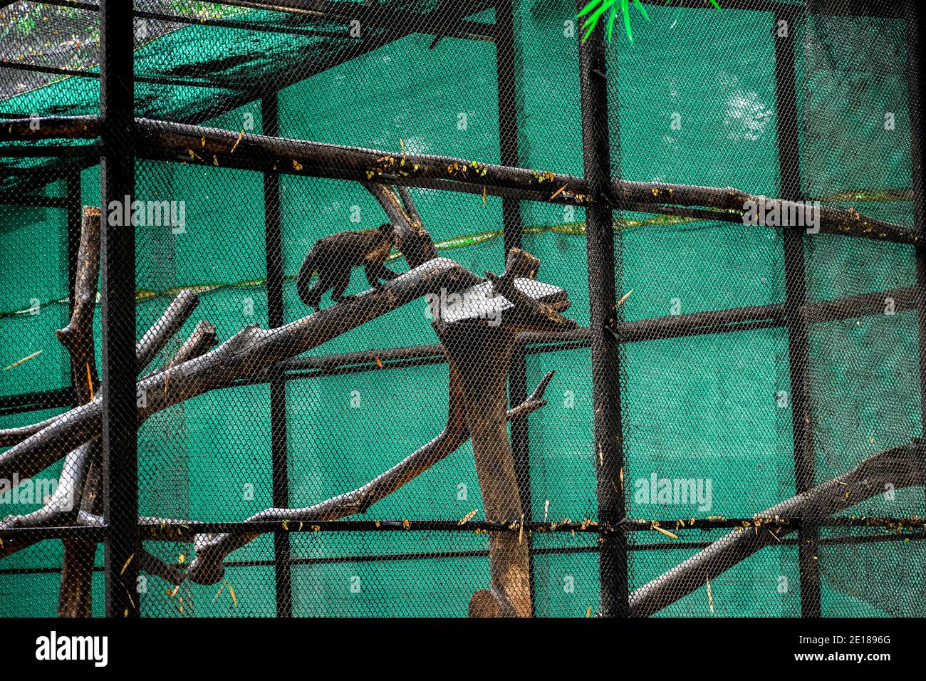 Animal cage in the zoo of mysore buit with wood Stock Photo - Alamy