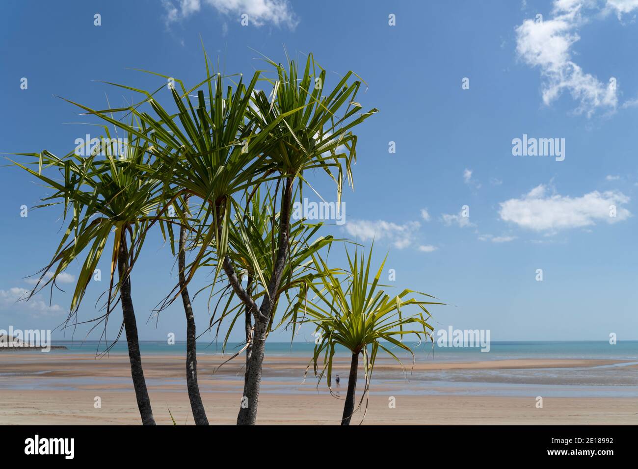 Pandanus beach hi-res stock photography and images - Alamy
