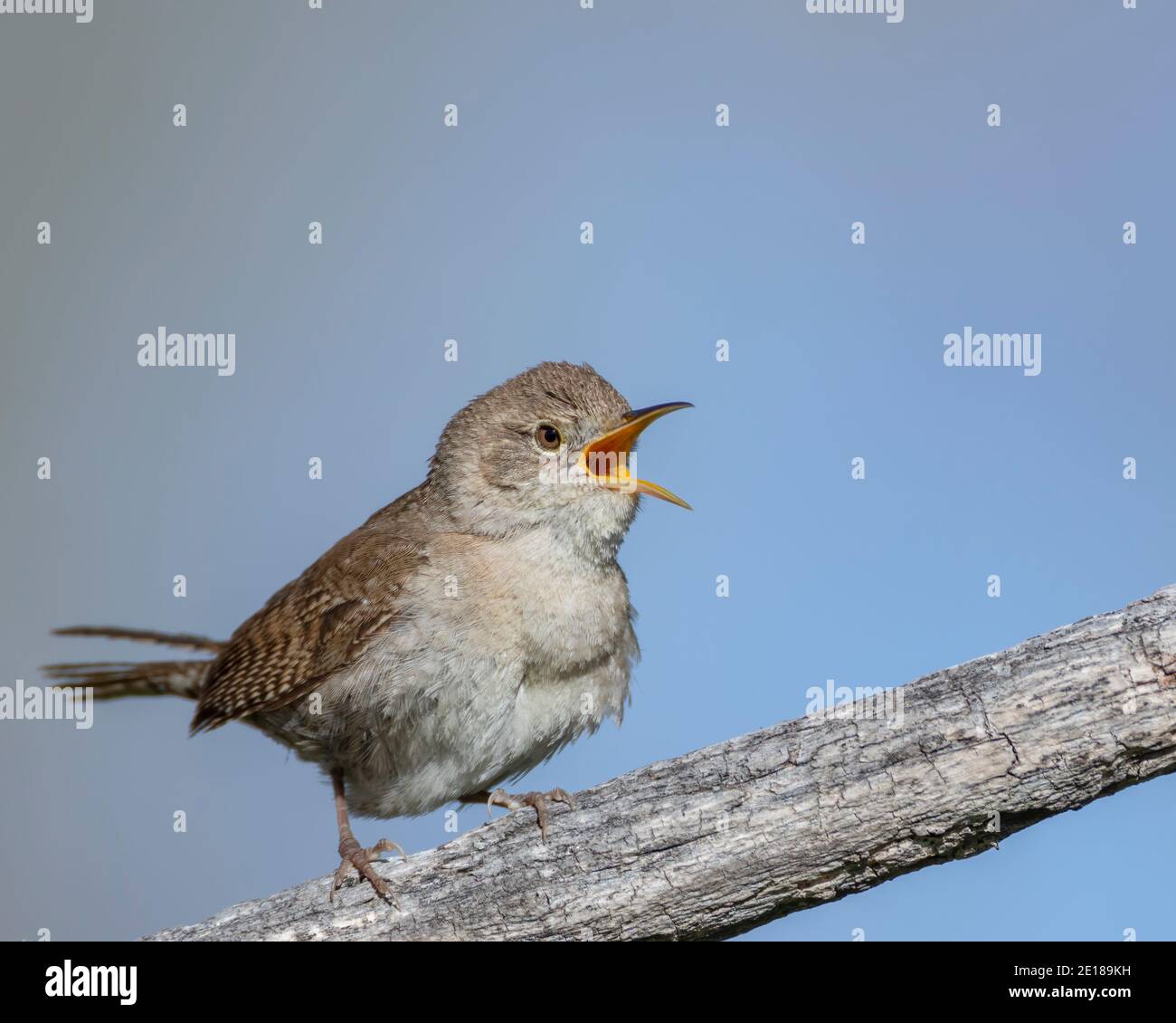 Sings of spring hi-res stock photography and images - Alamy