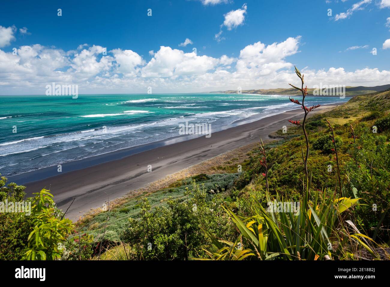 Hamilton beach new zealand hi-res stock photography and images - Alamy