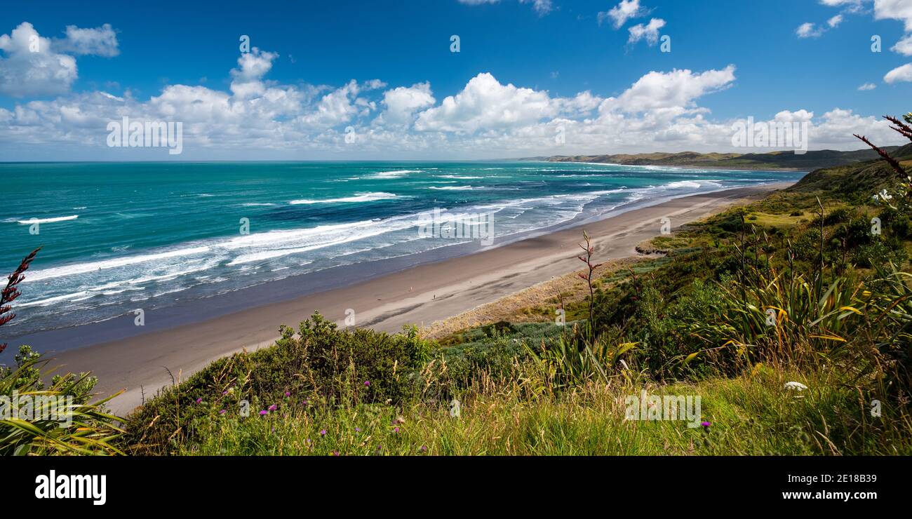 Hamilton beach new zealand hi-res stock photography and images - Alamy