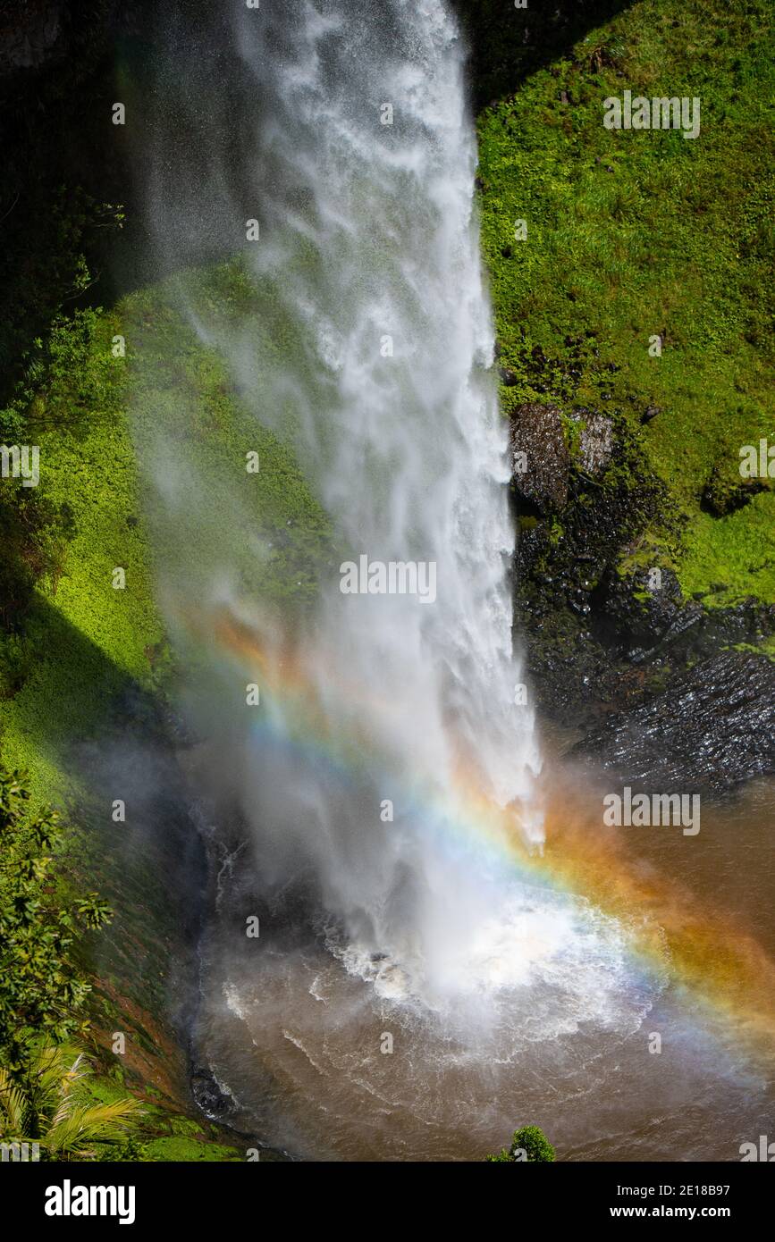 Waireinga falls hi-res stock photography and images - Alamy