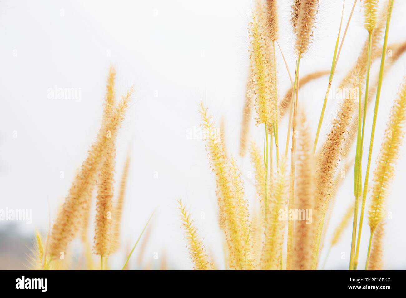 Evening aky hi-res stock photography and images - Alamy