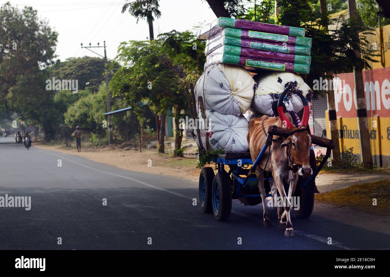 A colorful Bullock cart in Tamil Nadu, India Stock Photo - Alamy