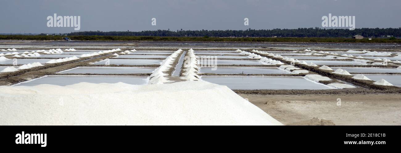 Marakkanam salt pans in Tamil Nadu, India Stock Photo - Alamy