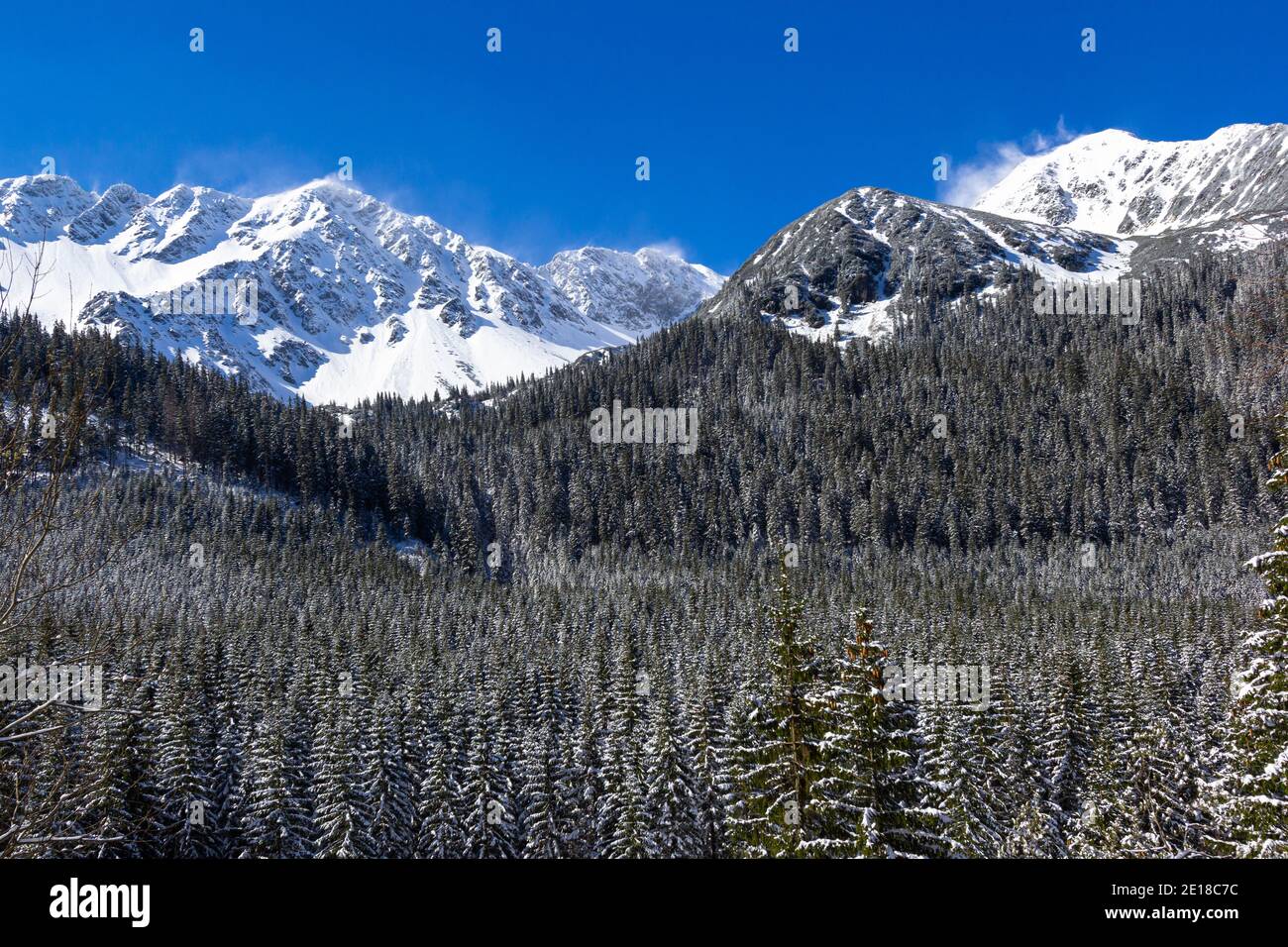 High tarta hi-res stock photography and images - Alamy