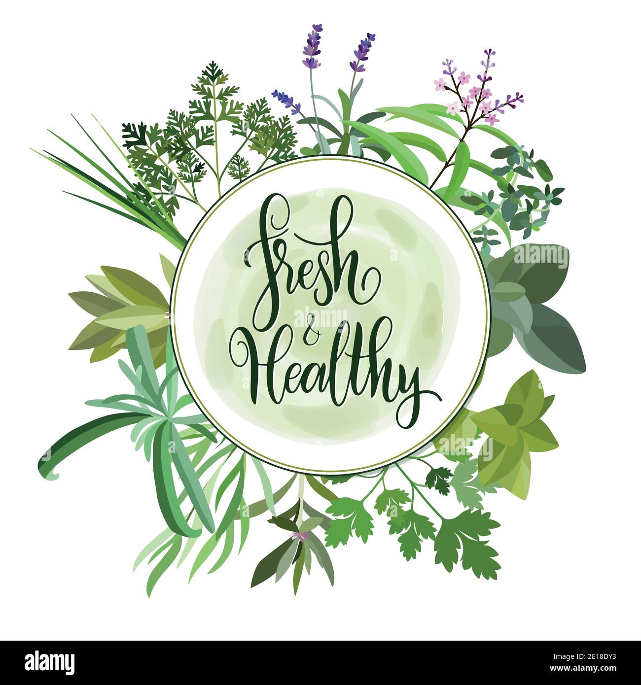 Frame with fresh herbs and spices. Banner with leaf and grass. Floral ...