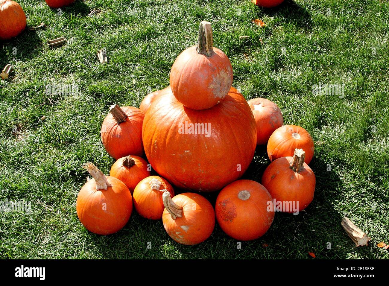 Arranged in a pyramid hi-res stock photography and images - Alamy