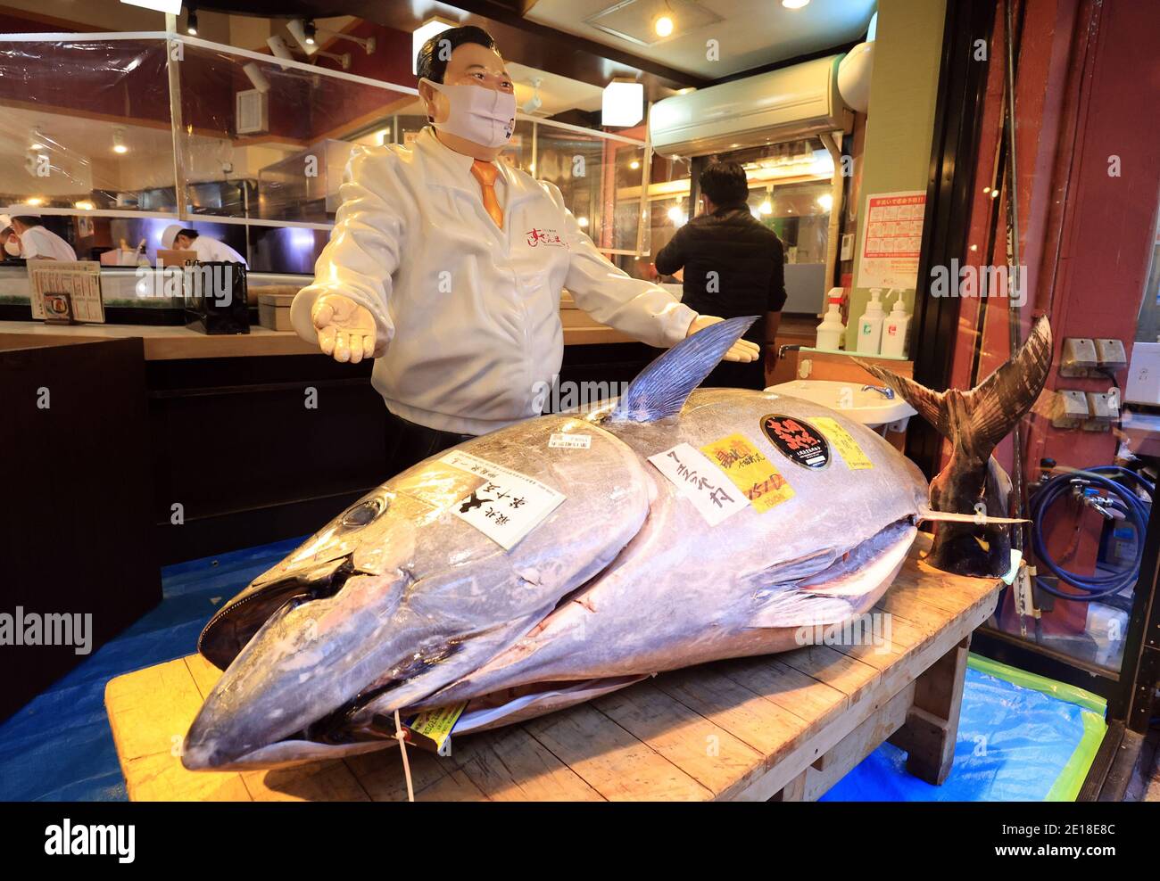 Tokyo, Japan. 5th Jan, 2021. A 151kg bluefin tuna is dispalyed at a ...