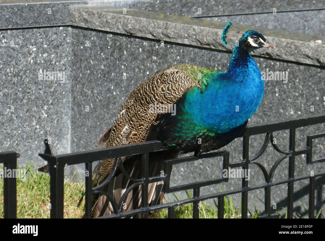 Los Angeles, California, USA 4th January 2021 A general view of ...