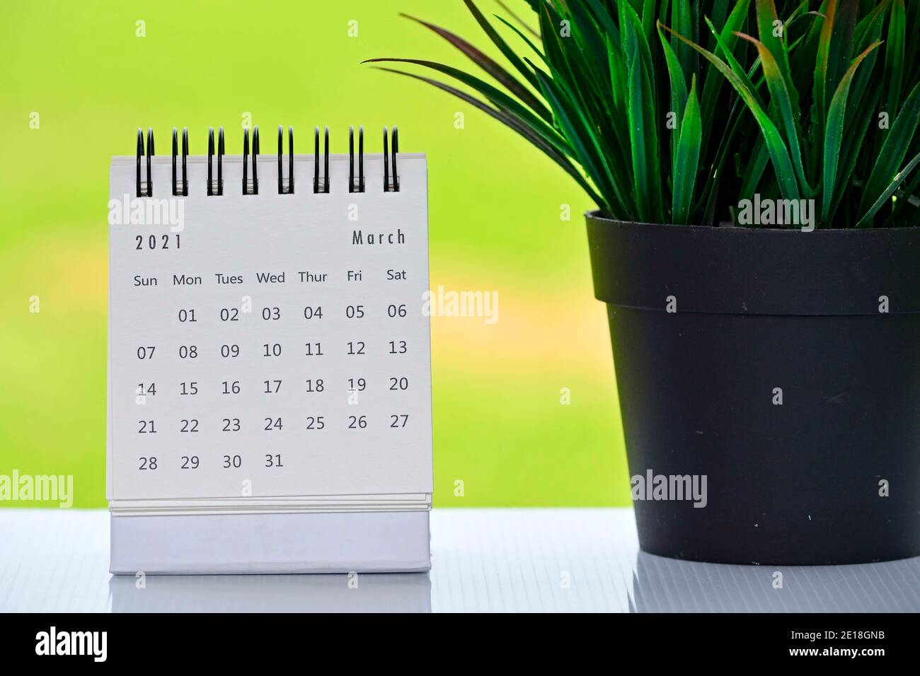 White March 2021 calendar with green backgrounds and potted plant Stock ...