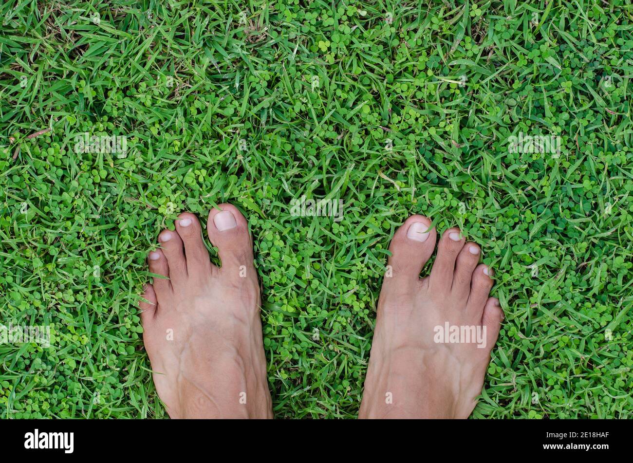 Feet On Green Field of Lawn Stock Photo - Alamy
