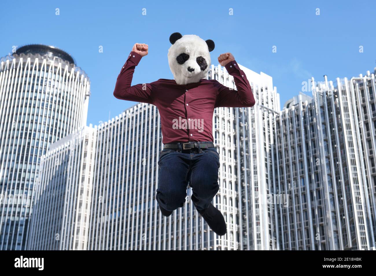 Man in panda costume suit hi-res stock photography and images - Alamy
