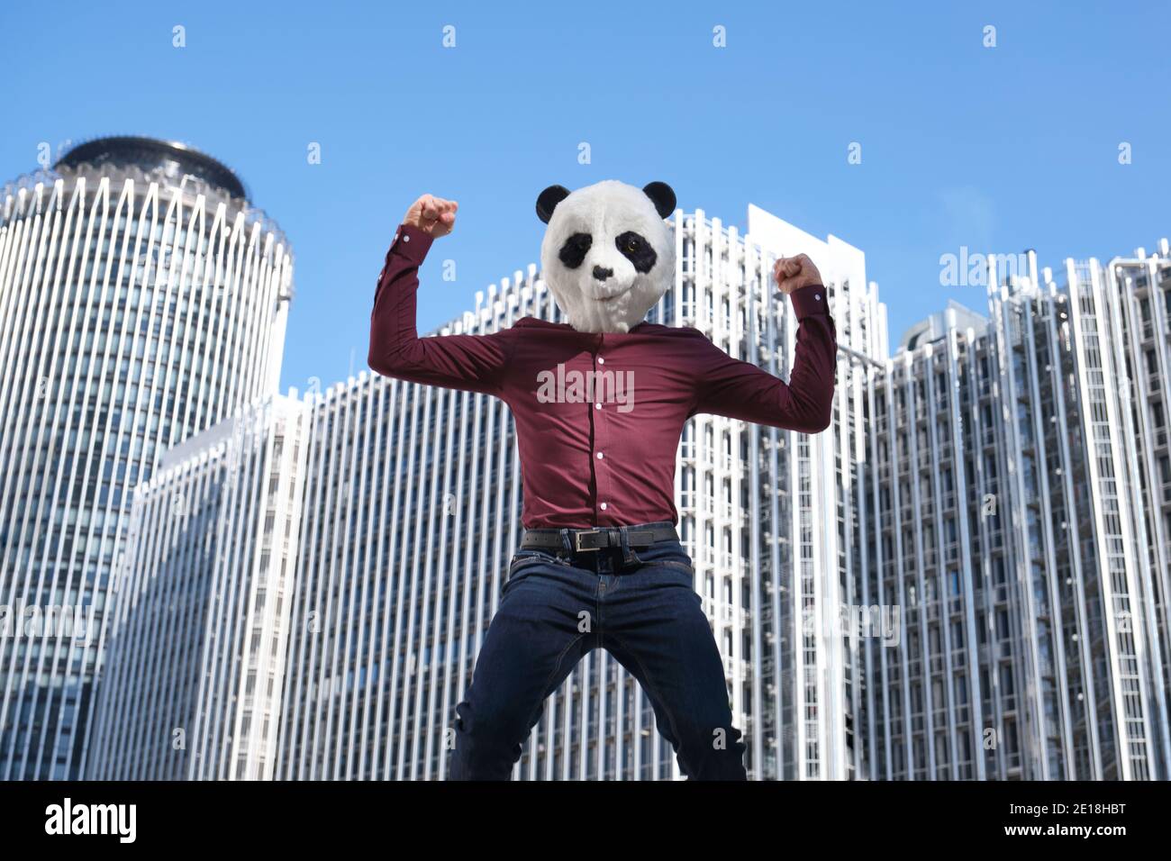 Man in panda costume suit hi-res stock photography and images - Alamy