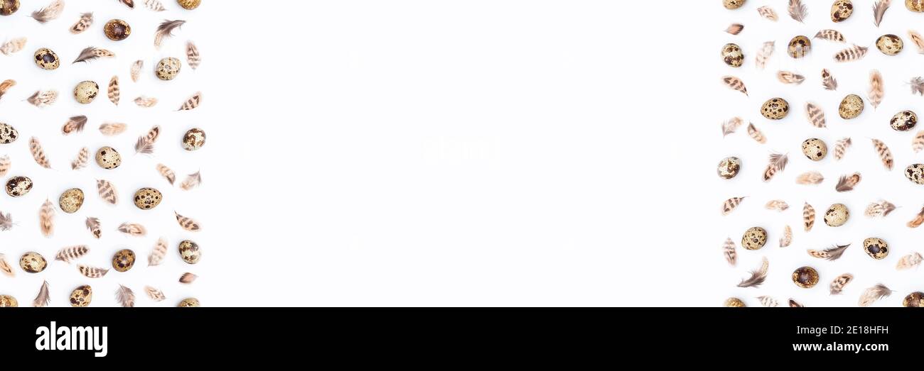 Banner made with quail eggs and bird feathers on a white background ...