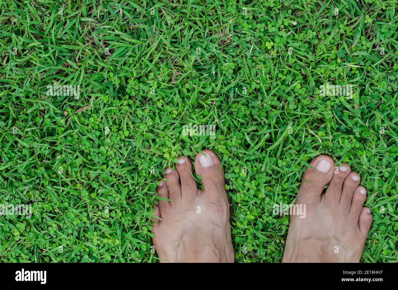 Feet On Green Field of Lawn Stock Photo - Alamy