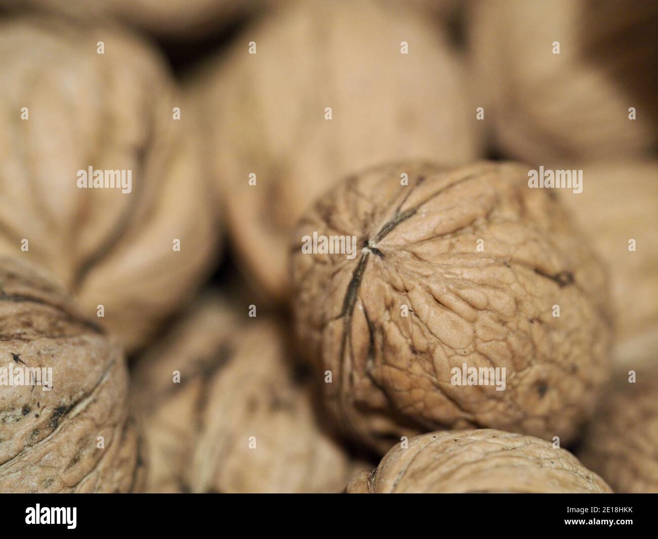 Walnut plant hi-res stock photography and images - Alamy