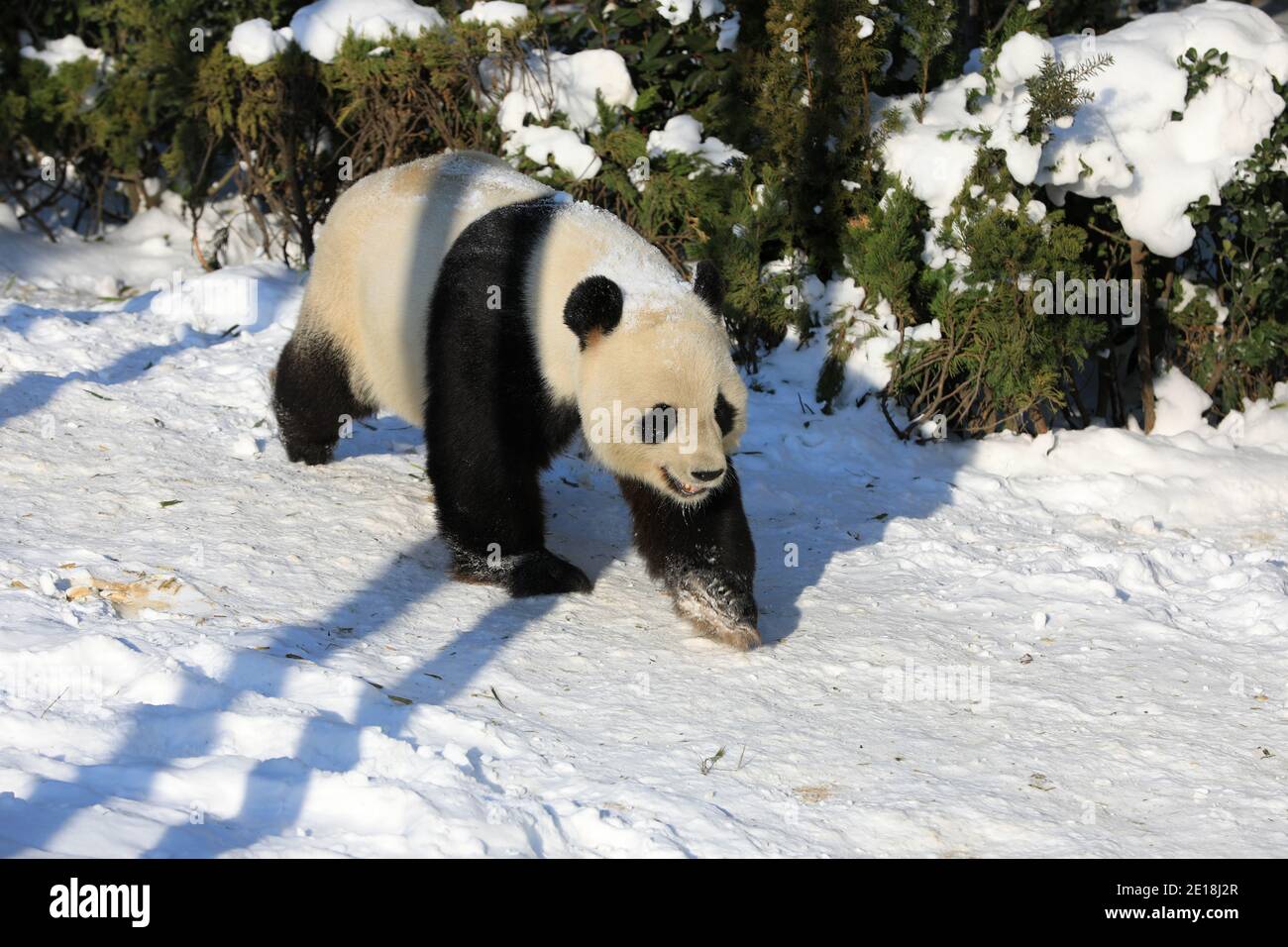 Xixiakou hi-res stock photography and images - Alamy