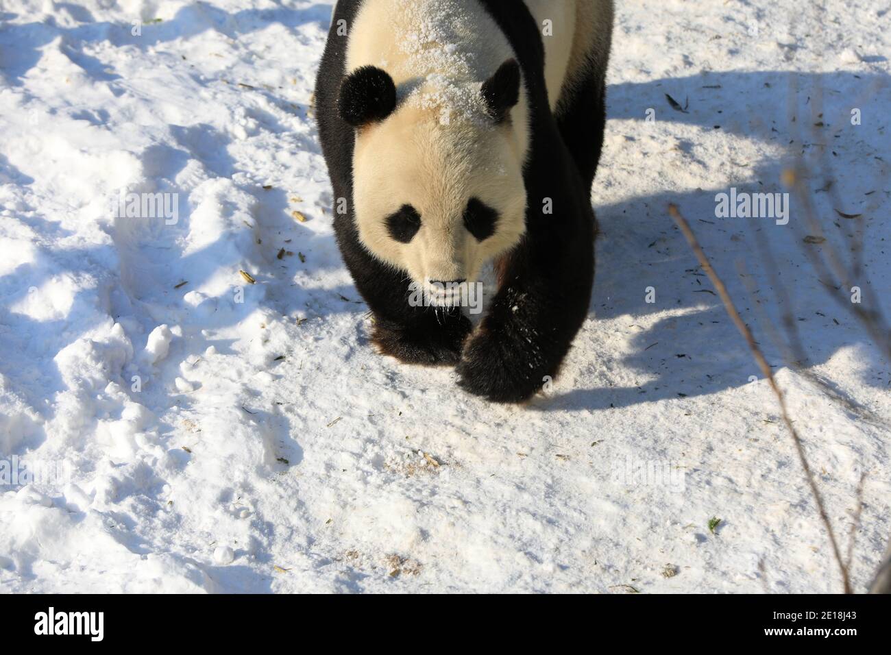 Xixiakou hi-res stock photography and images - Alamy