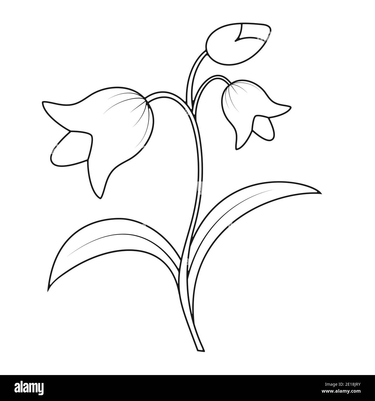 Empty outline of a flower with petals. Doodle style outline isolated on ...