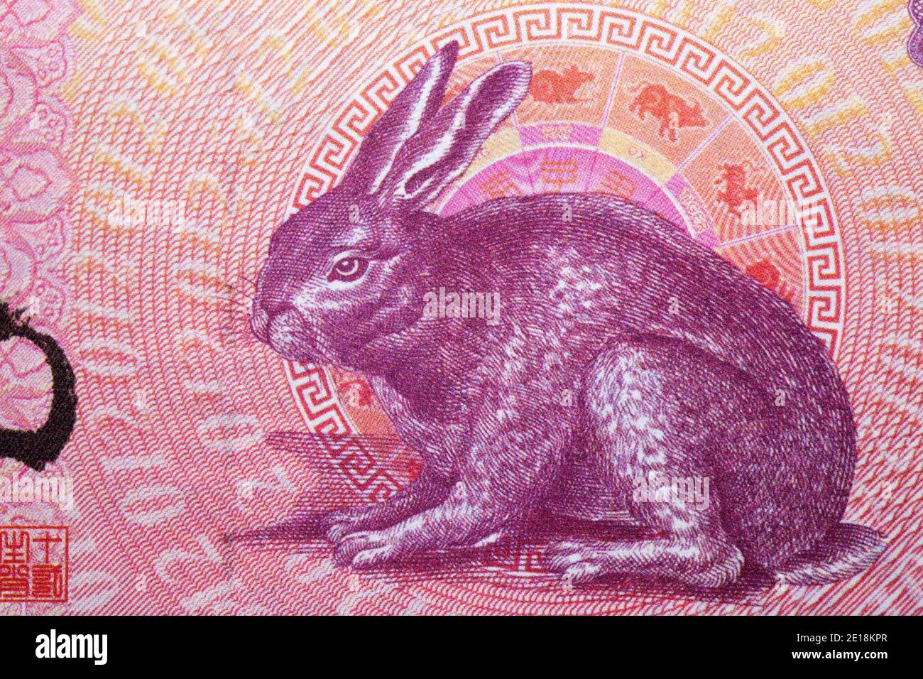 Chinese hare hi-res stock photography and images - Alamy