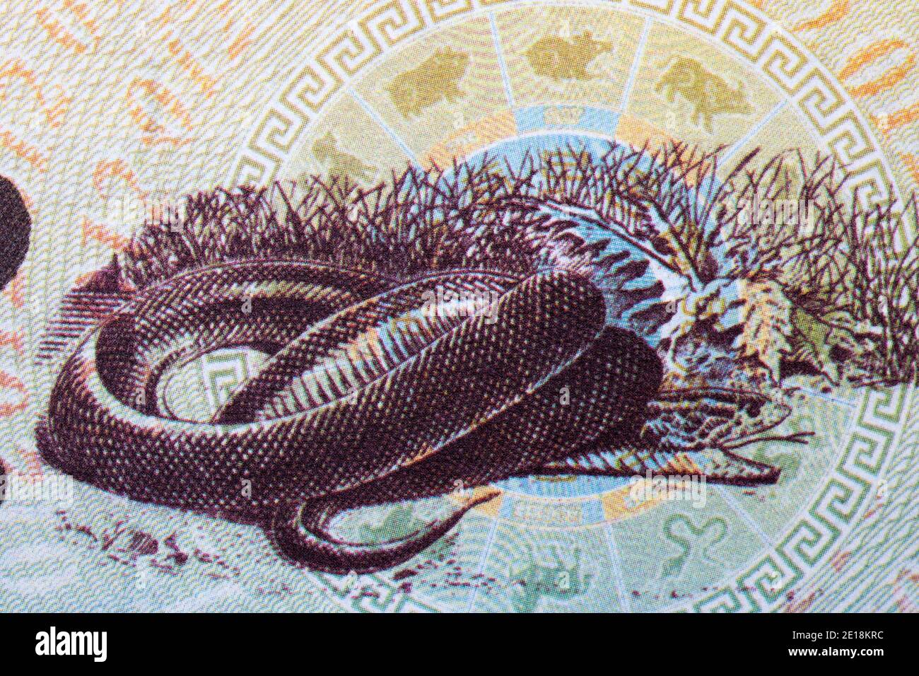 Money for wildlife hi-res stock photography and images - Alamy