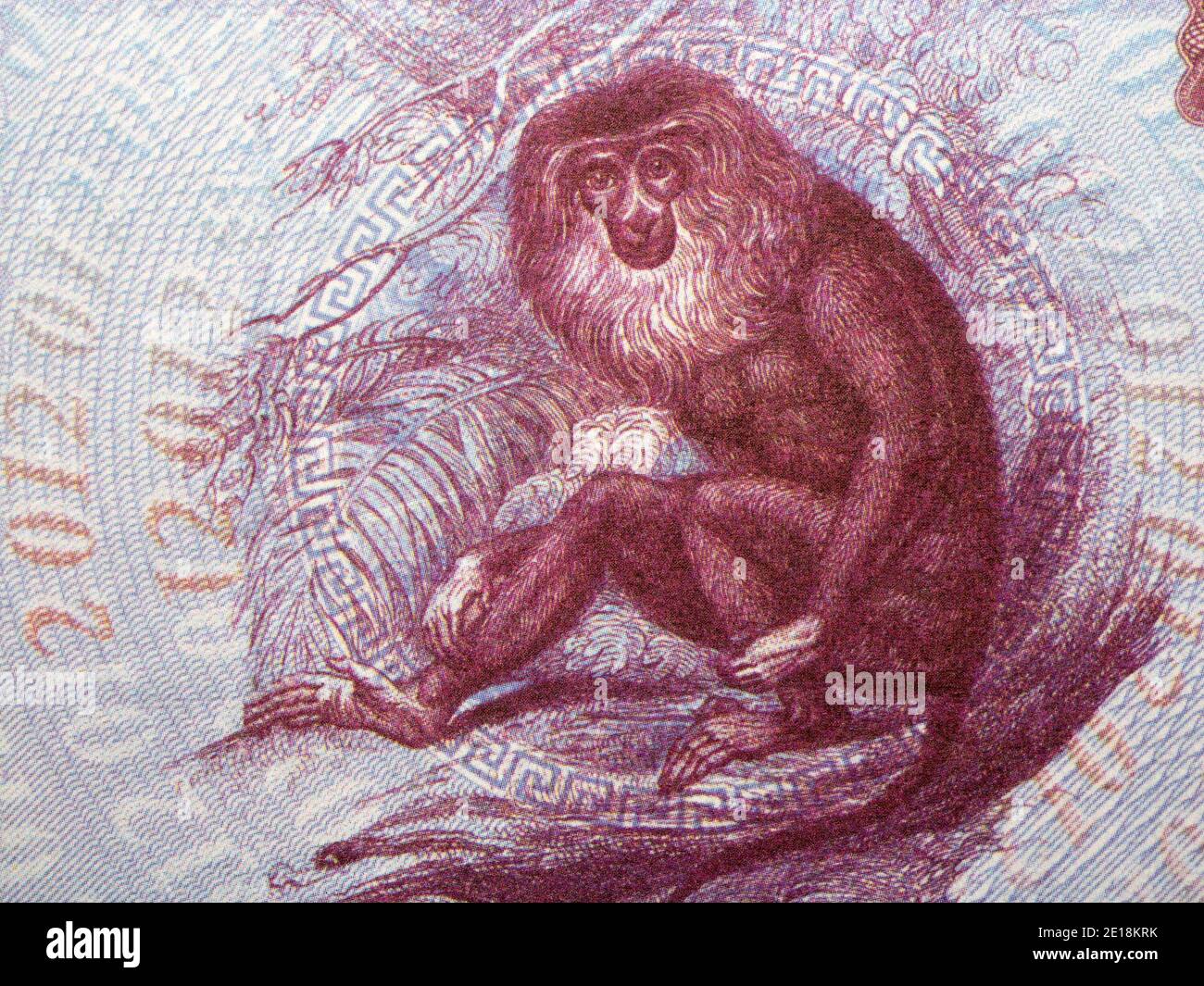 Monkey from Chinese money Stock Photo - Alamy