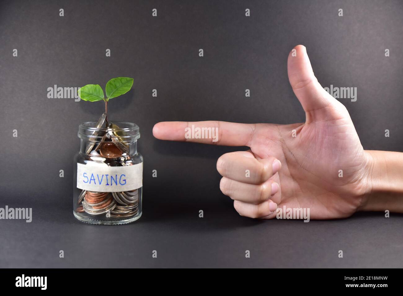 Coins money in jar bottle tree growth saving concept Stock Photo - Alamy