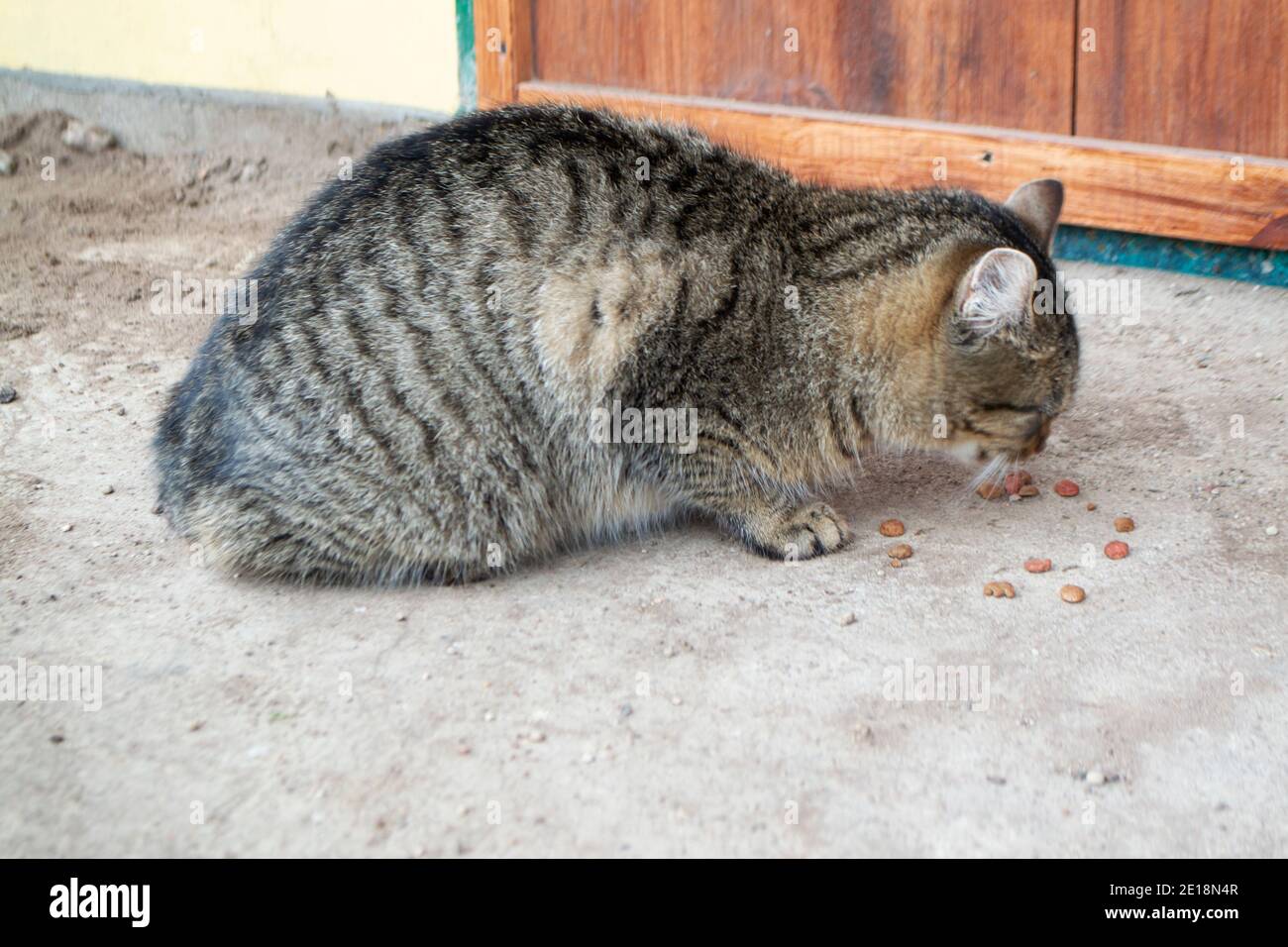 Begger white background hi-res stock photography and images - Alamy