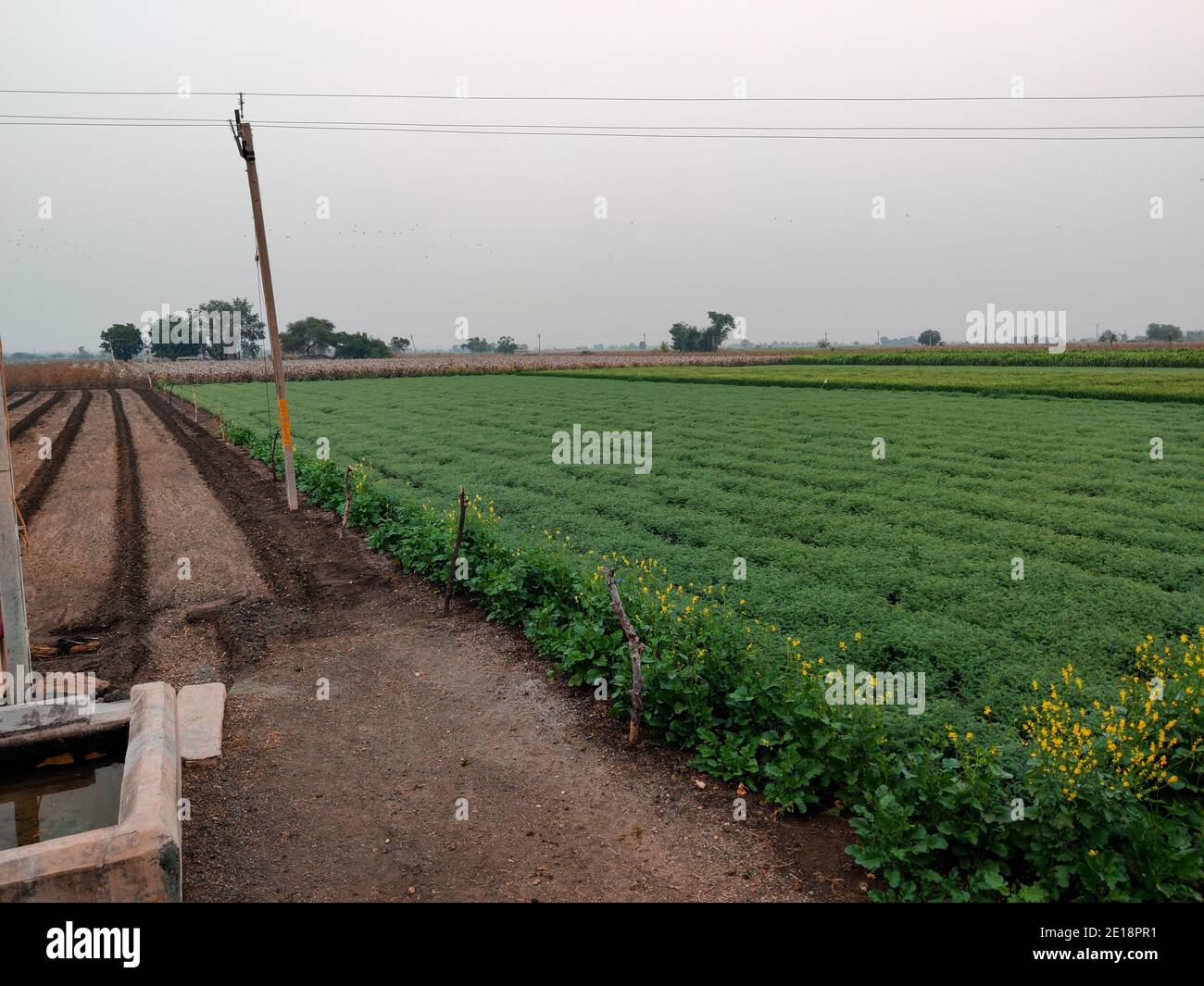 Village Photograph, Gujarat, India Stock Photo - Alamy