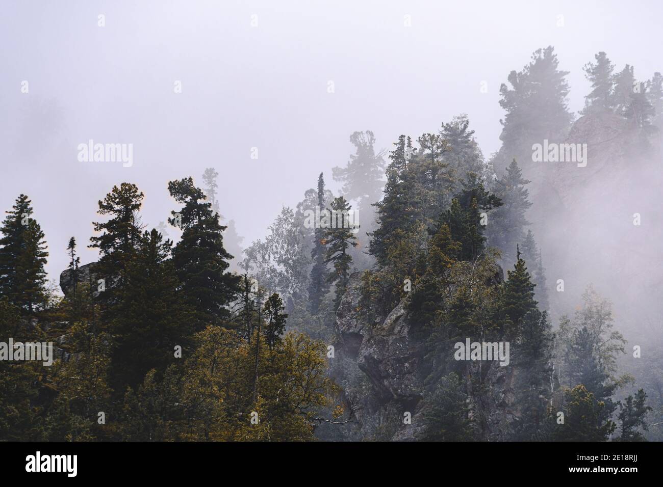 Rainy weather with trees hi-res stock photography and images - Alamy