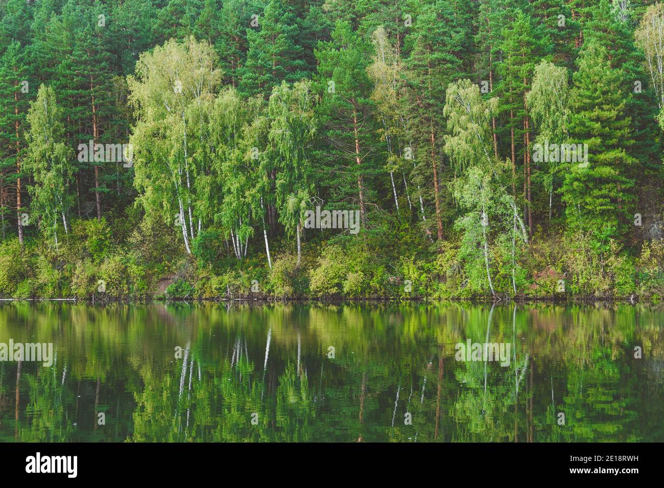 Reflection of trees in mirror of lake Stock Photo - Alamy
