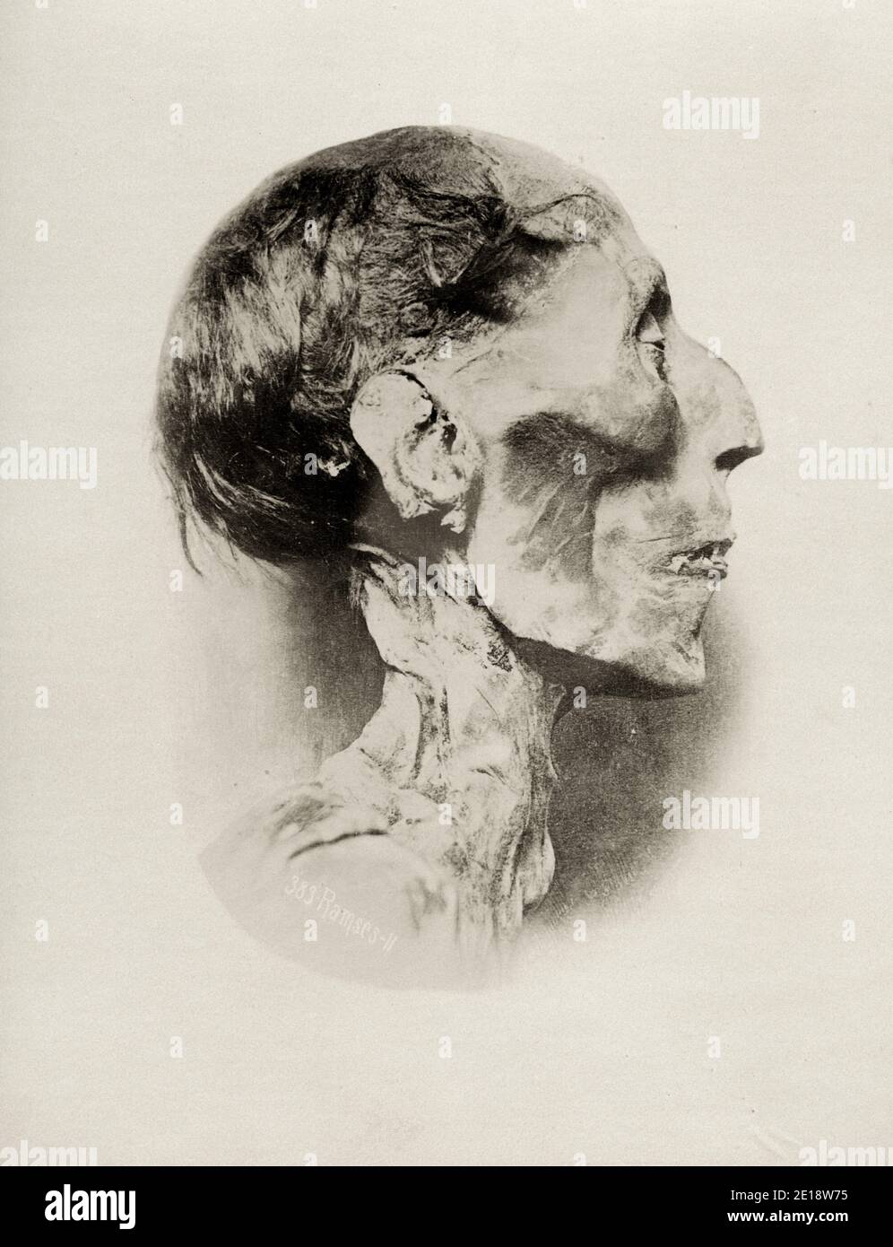 Vintage 19th century photograph - the mummy, mummified head of Egyptian ...