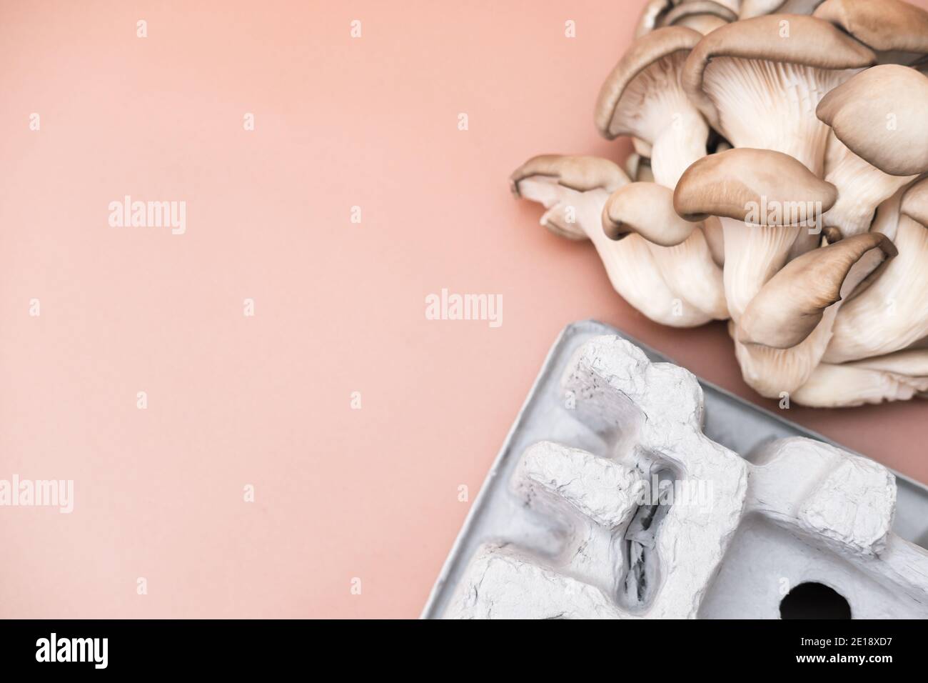 Mushroom based packaging hi-res stock photography and images - Alamy