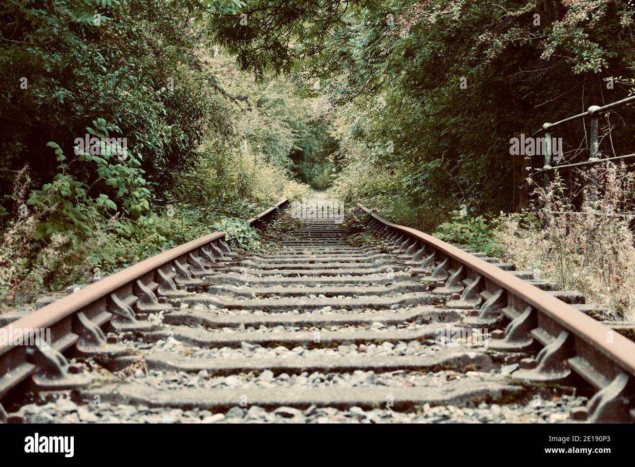 abandoned railway distorted tracks with overgrowth Stock Photo - Alamy