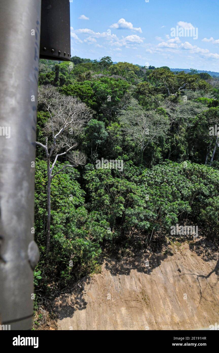 Amazon rainforest birds eye view hi-res stock photography and images ...