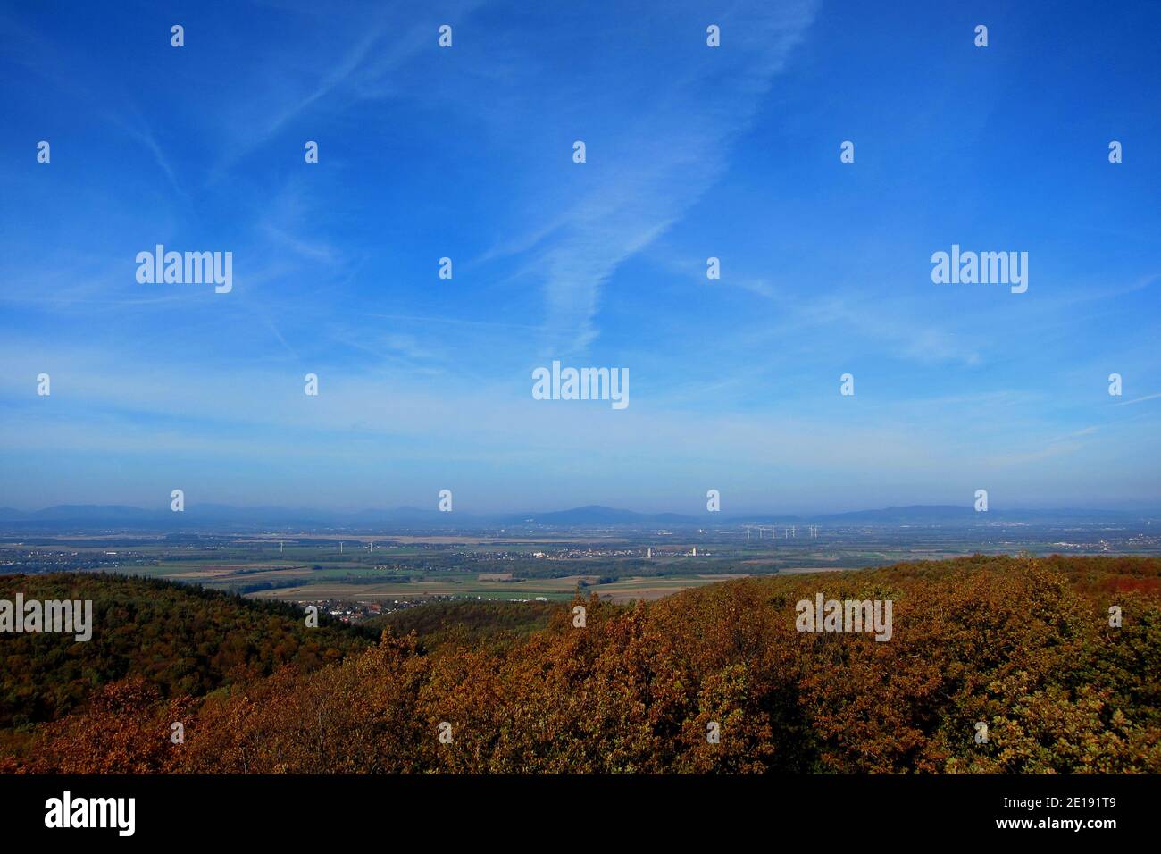 beautiful wide view on a viewing tower in the middle of a forest Stock ...